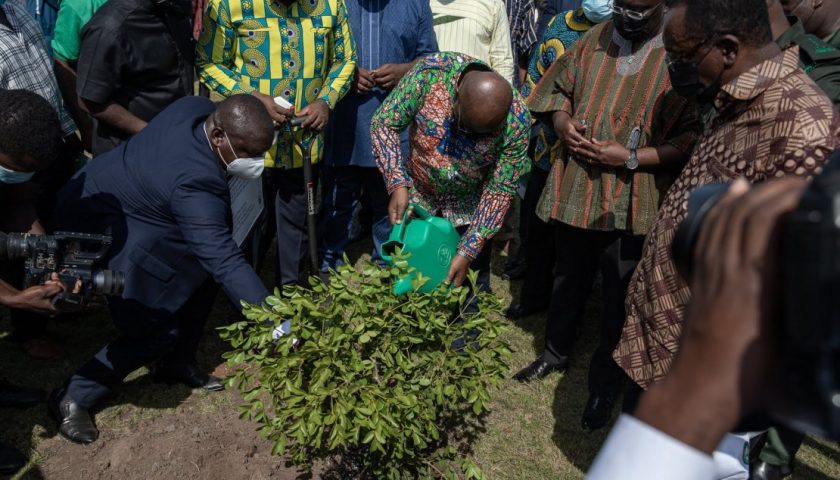 Action time: Ghanaians plant 5million trees to fight forest depletion ...